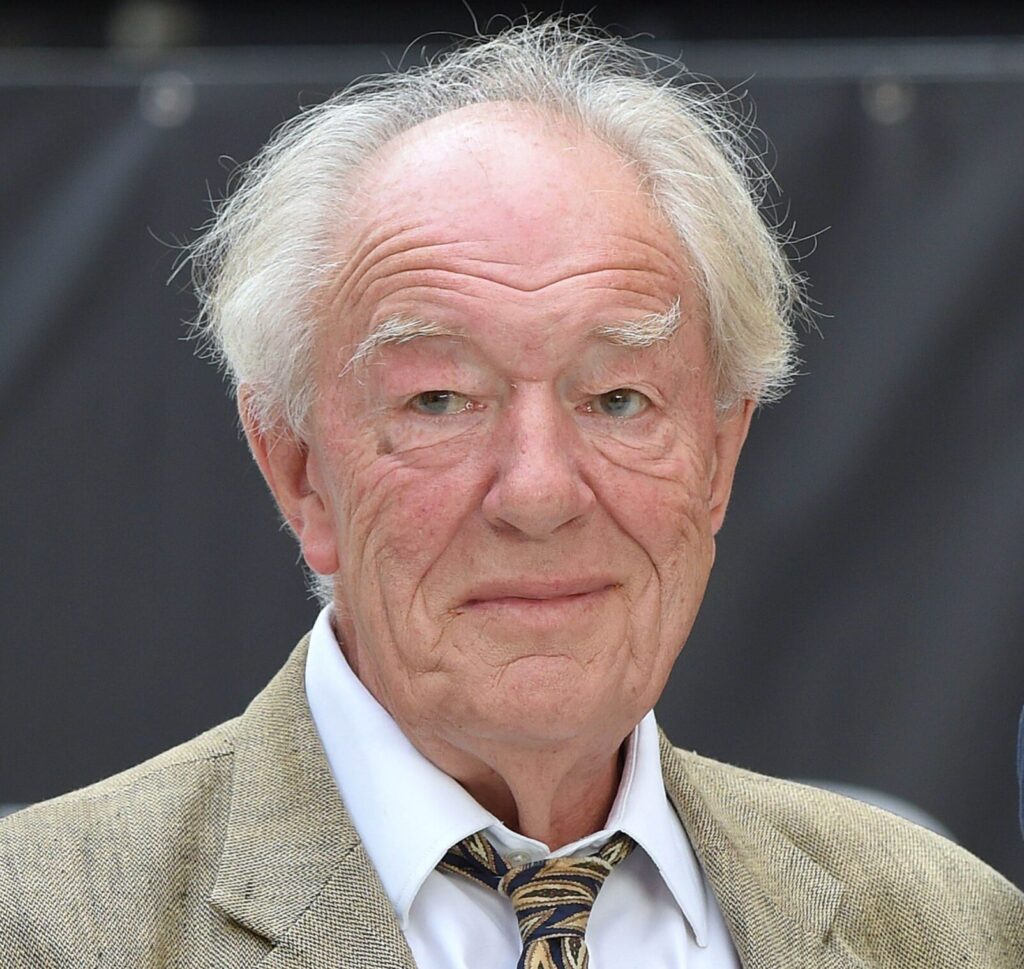 "Harry Potter" Star Michael Gambon Passed Away at 82 - EverydayKoala